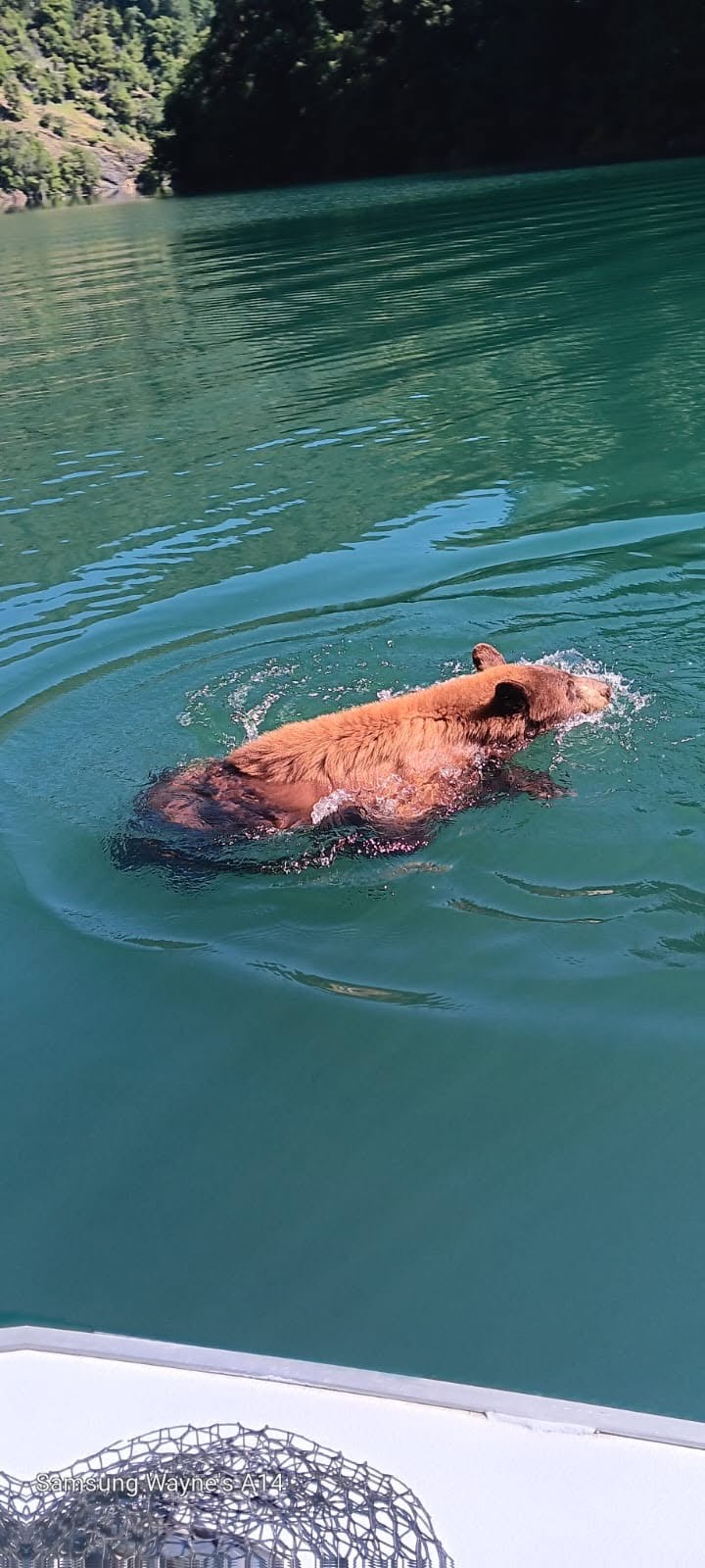 June 02, 2025 - Bullards Bar Reservoir – Catch America