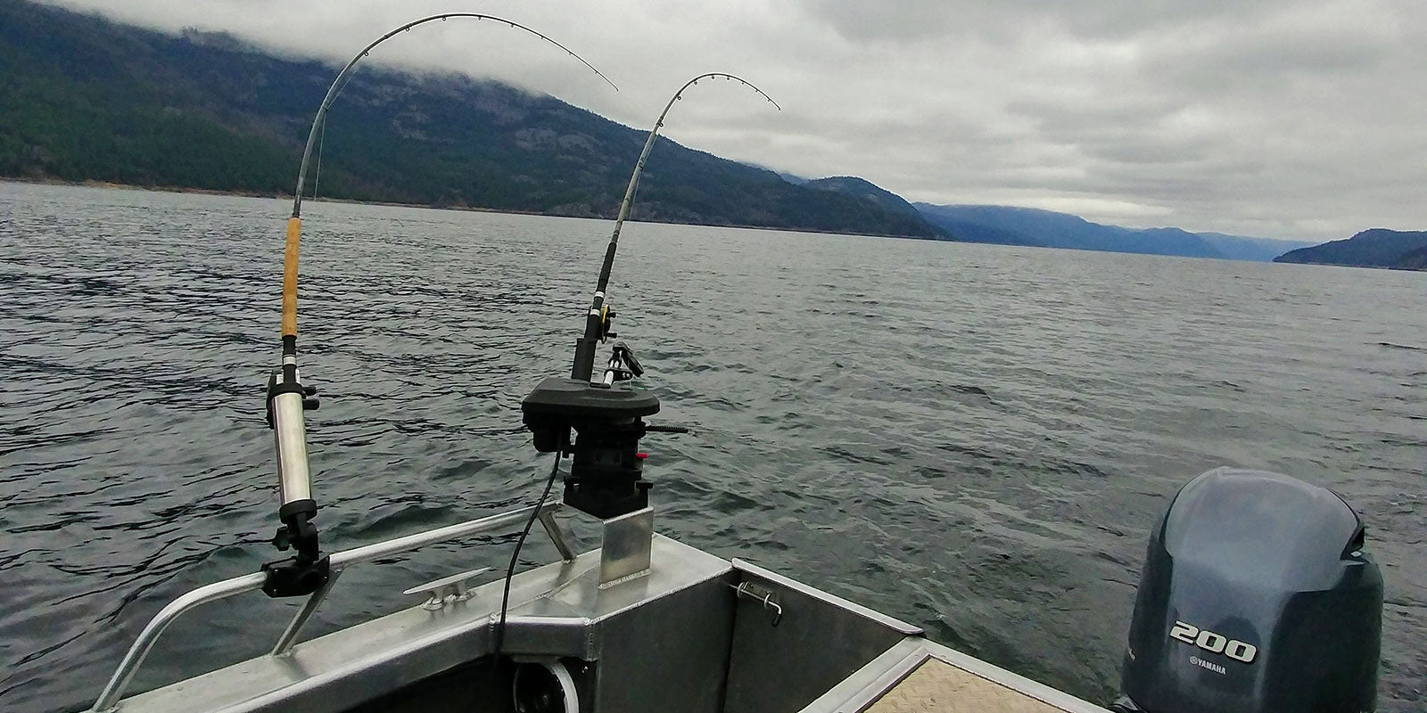 Trolling – Catch America