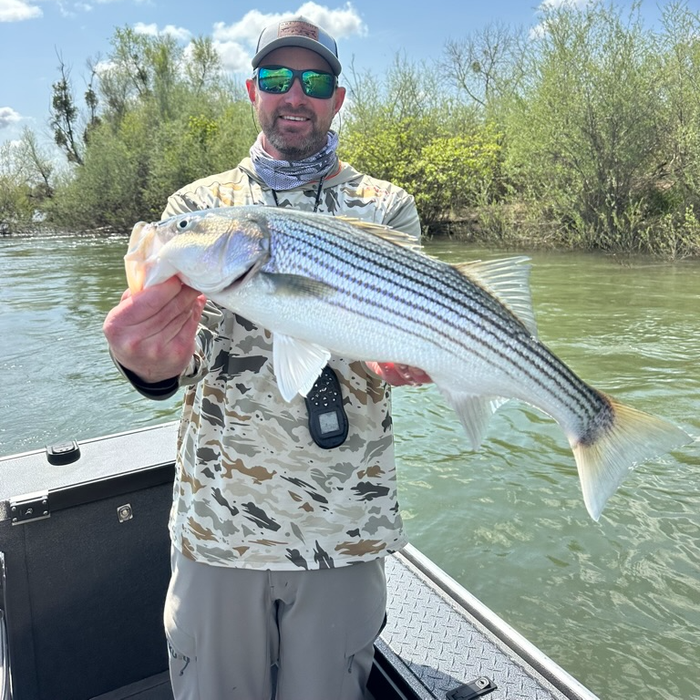 Striped Bass – Catch America