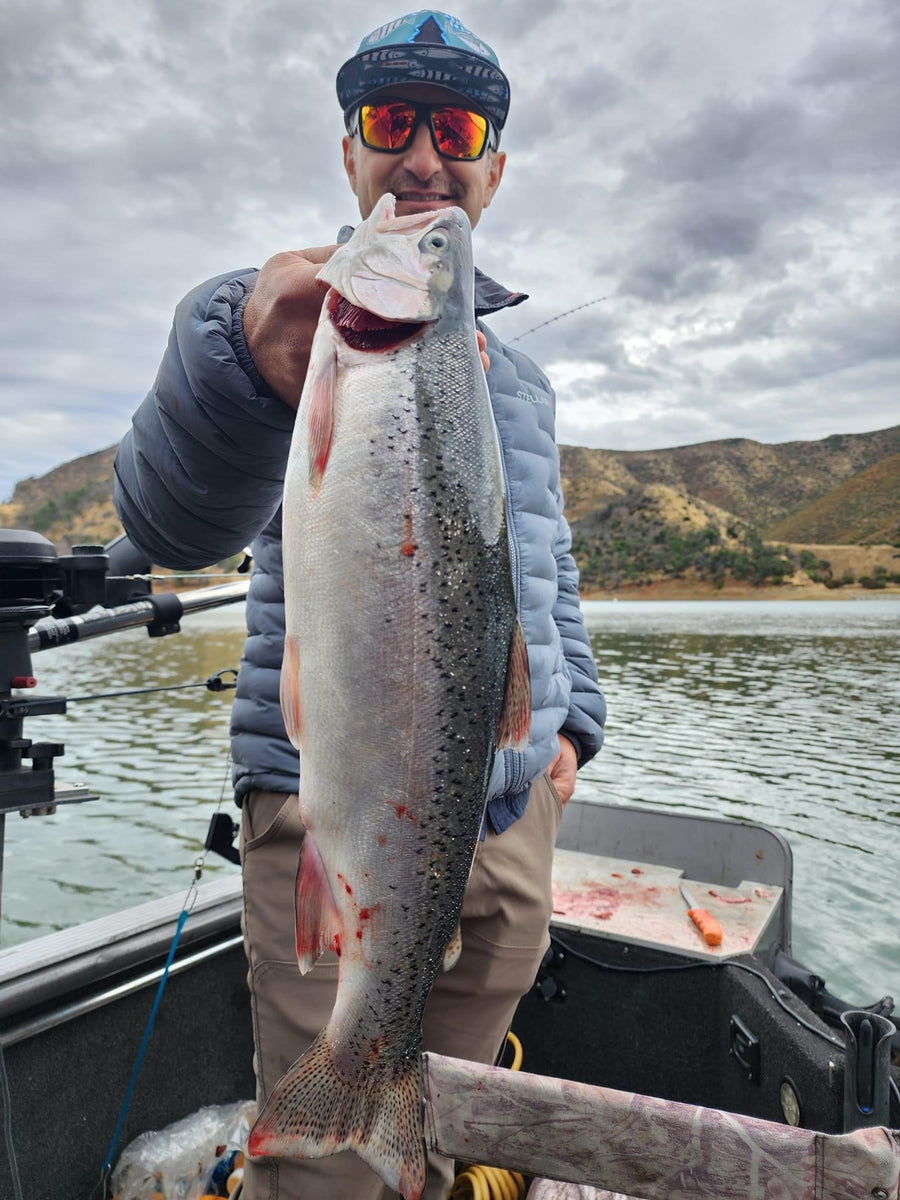 Gallery – Catch America