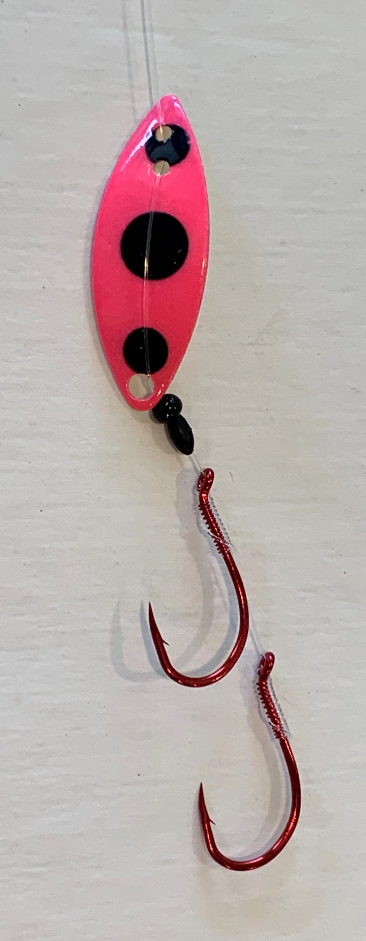 T-Pex – Catch America